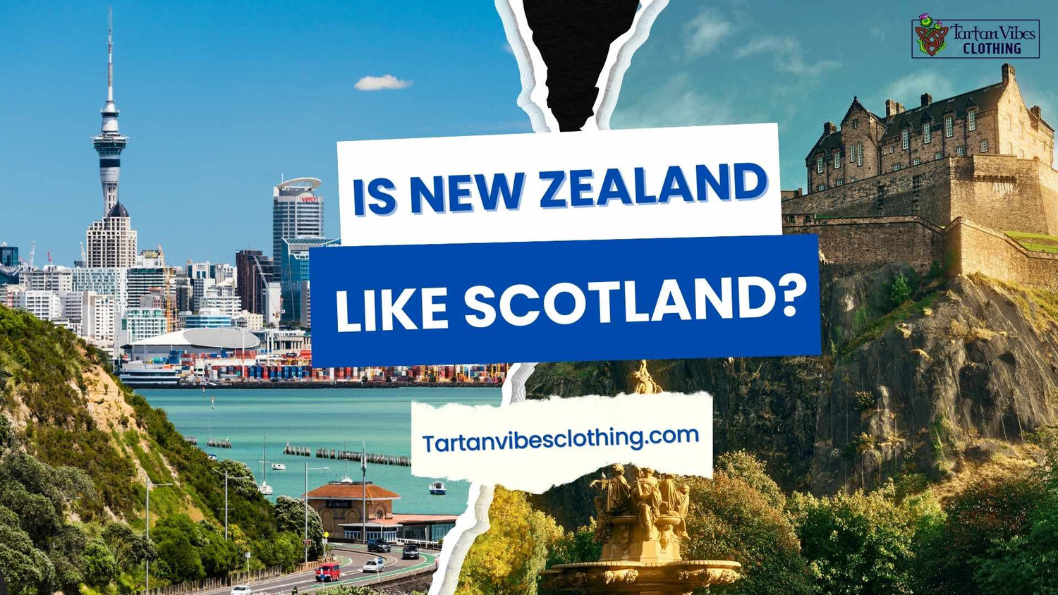 25 Intriguing Facts About Highland Cows | Tartan Vibes Clothing