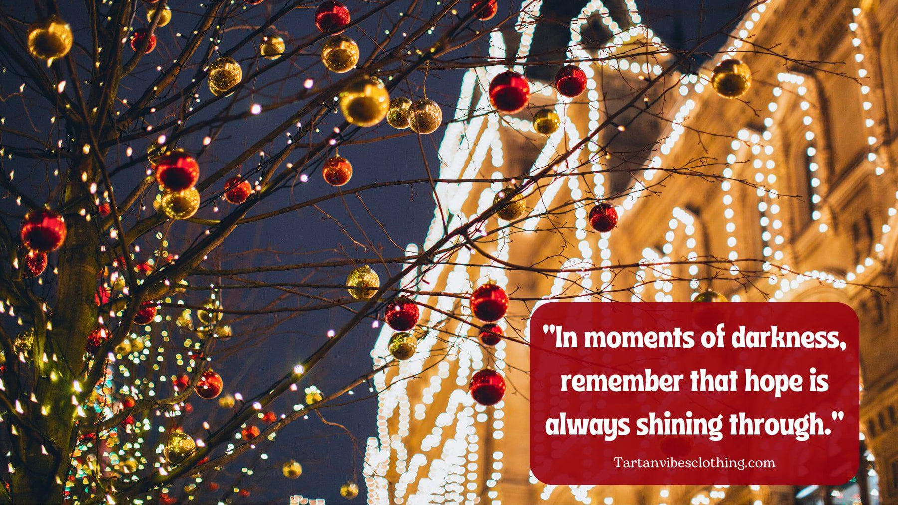 125 Christmas Lights Quotes to Light Up Your Holiday in 2024