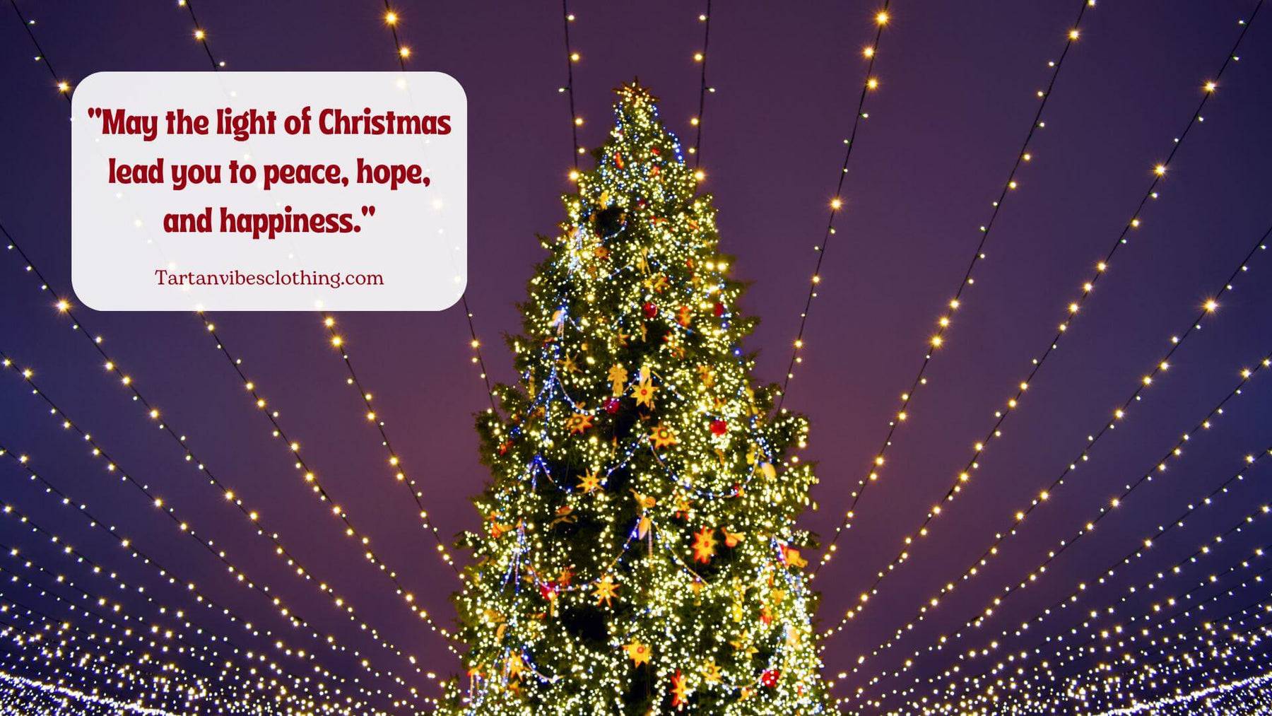 125 Christmas Lights Quotes to Brighten Your Holiday 2025