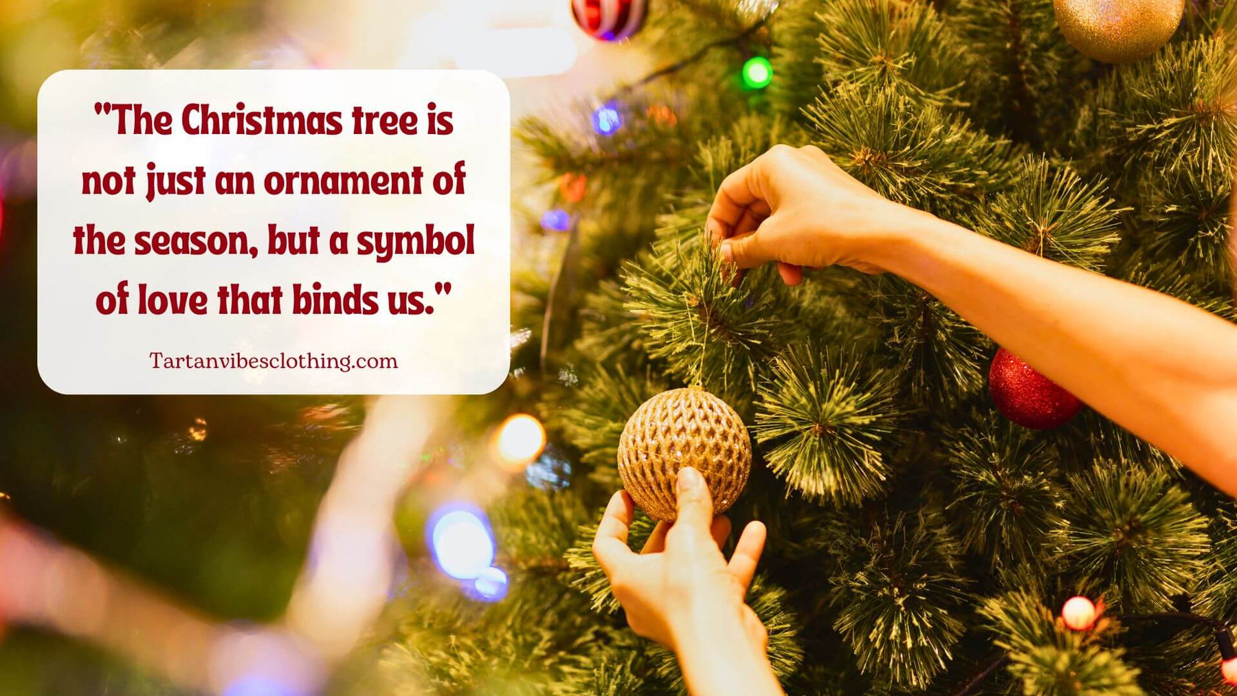 140 Unique Christmas Quotes About Christmas Tree for 2025
