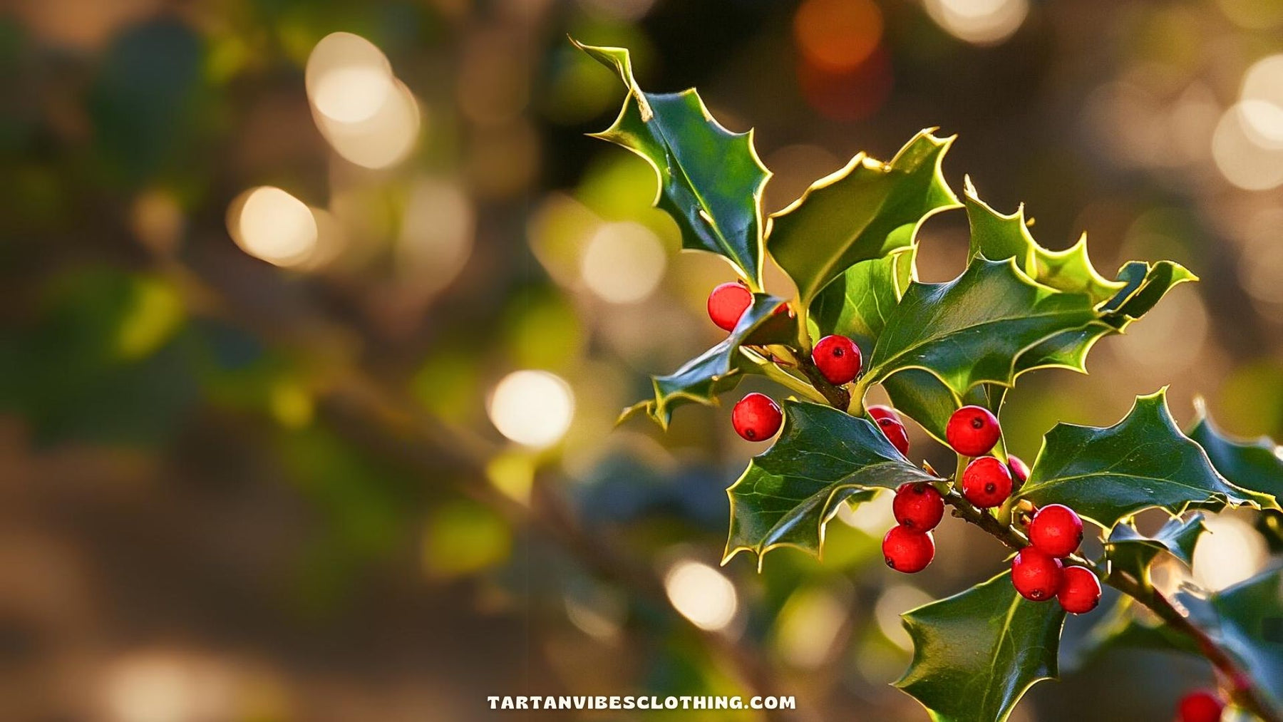 15 Enchanting Scottish Christmas Traditions to Discover