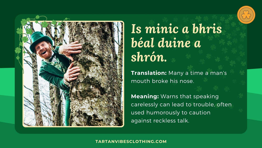 Top 90 Irish Proverbs and Meanings: Timeless Wisdom for Life