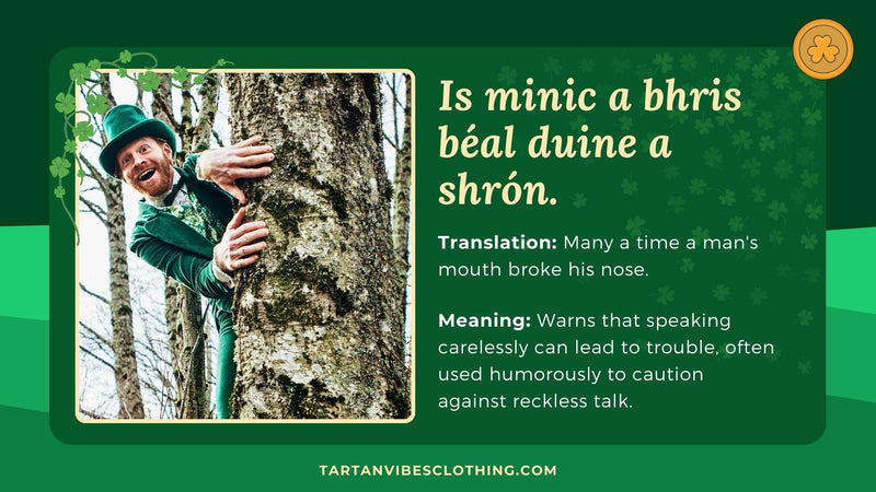 Top 90 Irish Proverbs and Meanings: Timeless Wisdom for Life