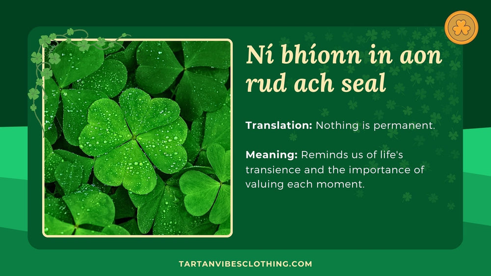 Top 90 Irish Proverbs and Meanings: Timeless Wisdom for Life