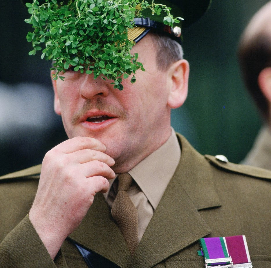 Discover Why Is the Shamrock a Symbol of St. Patrick's Day?
