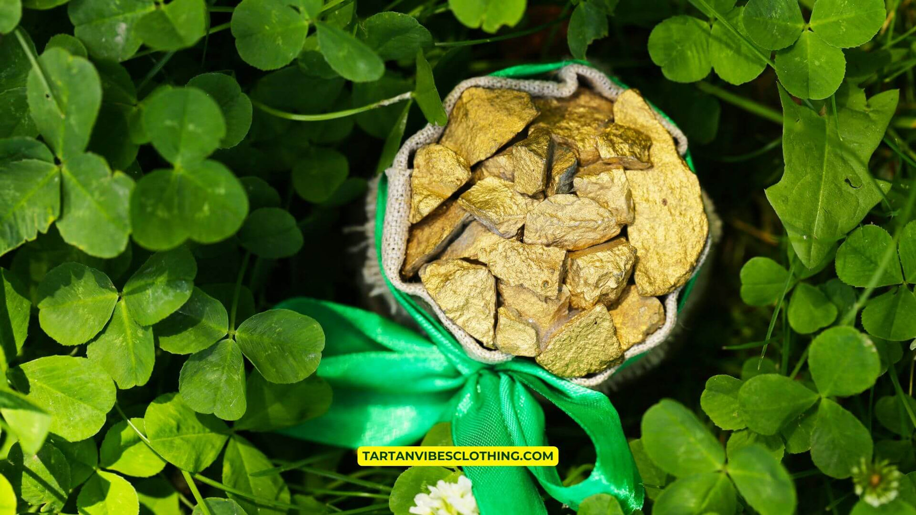Discover Why Is the Shamrock a Symbol of St. Patrick's Day?