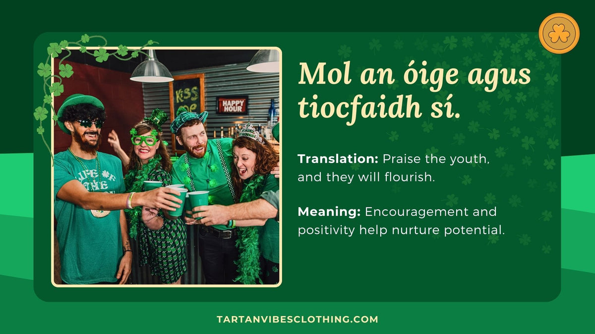 Top 90 Irish Proverbs and Meanings: Timeless Wisdom for Life