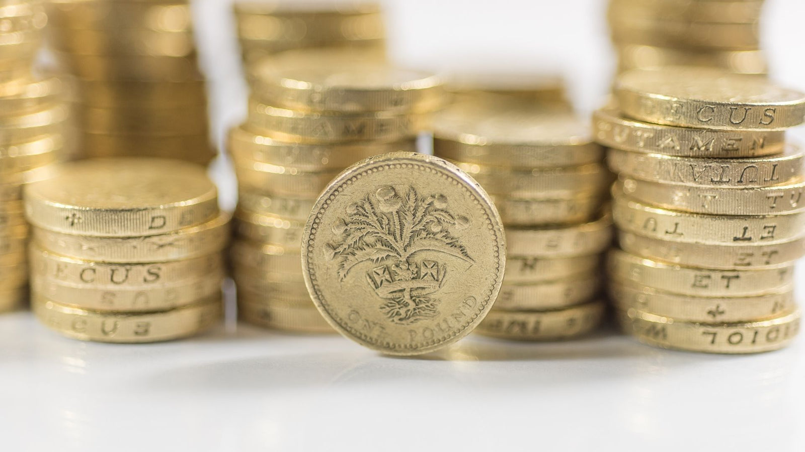 Scottish Thistle Symbolism: Meaning, Origin and Significance