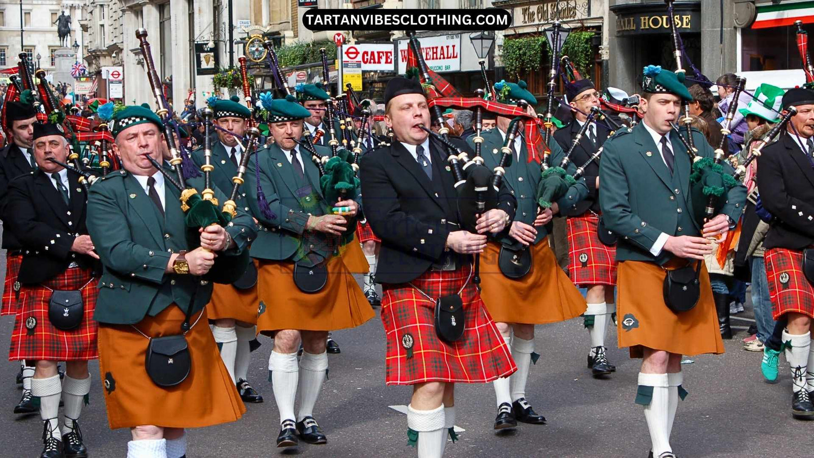 Discover Why Is the Shamrock a Symbol of St. Patrick's Day?